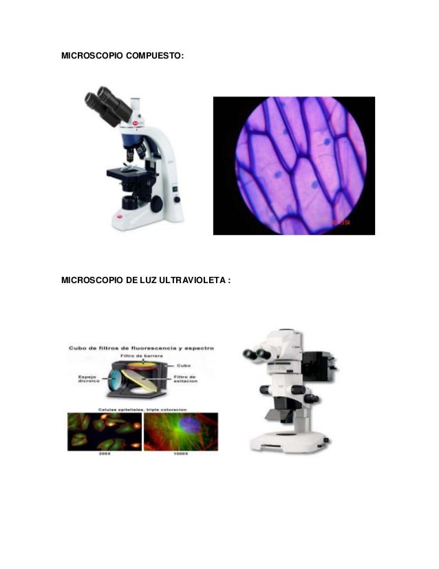 Tipos de microscopio