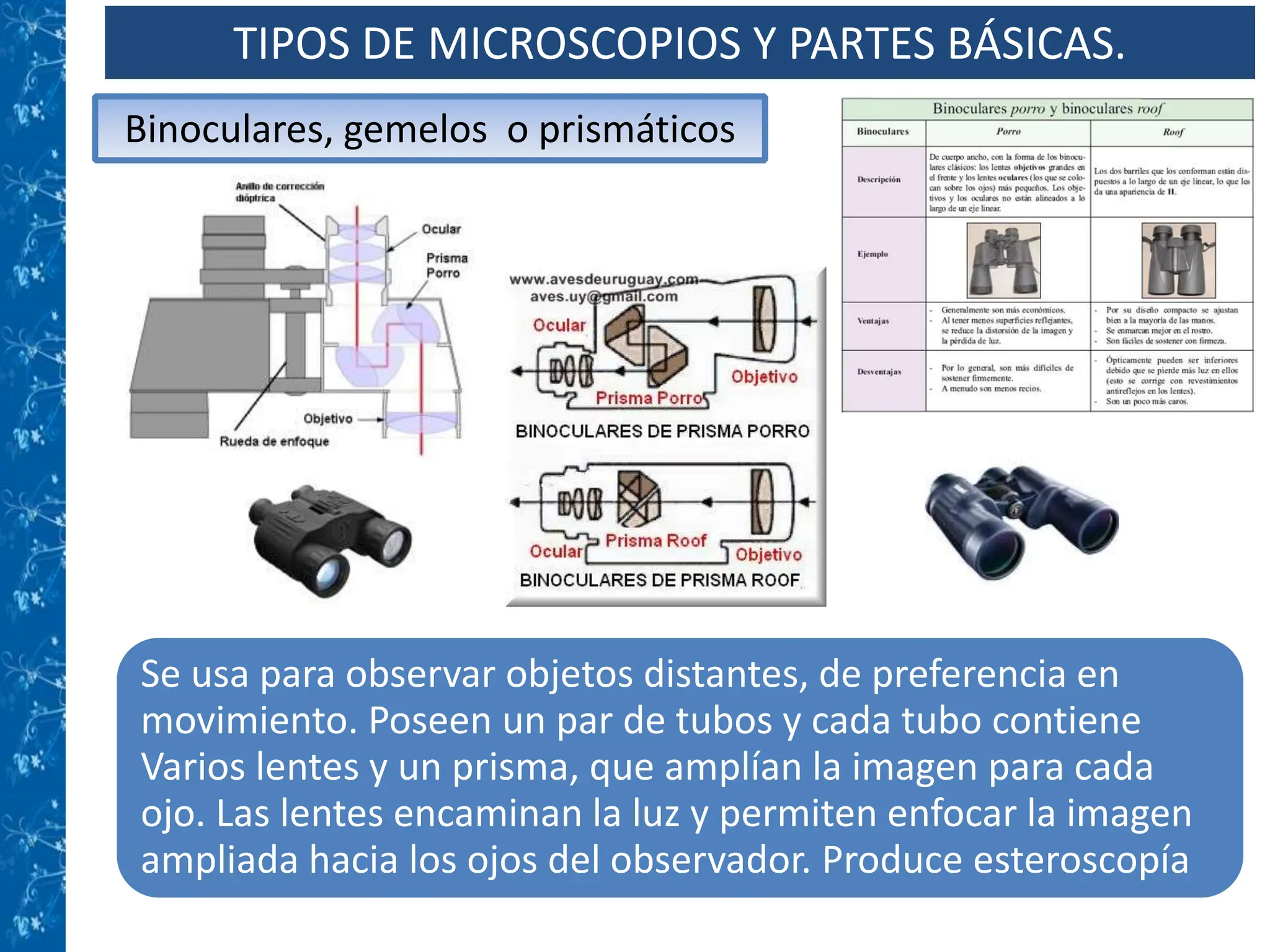 Tipos de microscopios feb 2023.pptx