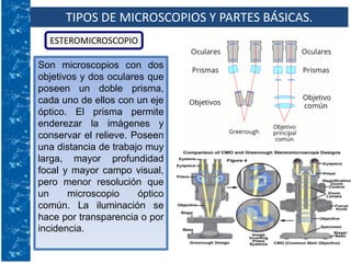 Tipos de microscopios feb 2023.pptx