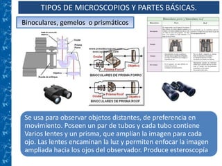 Tipos de microscopios feb 2023.pptx