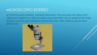 Tipos de microscopios y sus funciones | PPTX