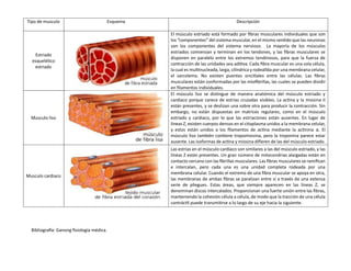 tipos de musculo y sus tejidos fisiologia.pdf