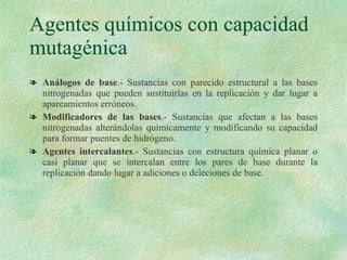 Tipos de mutaciones | PPT