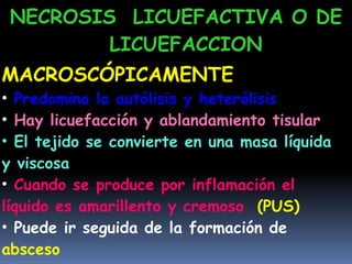 Tipos de Necrosis y cómo tratarla correctamente | PDF