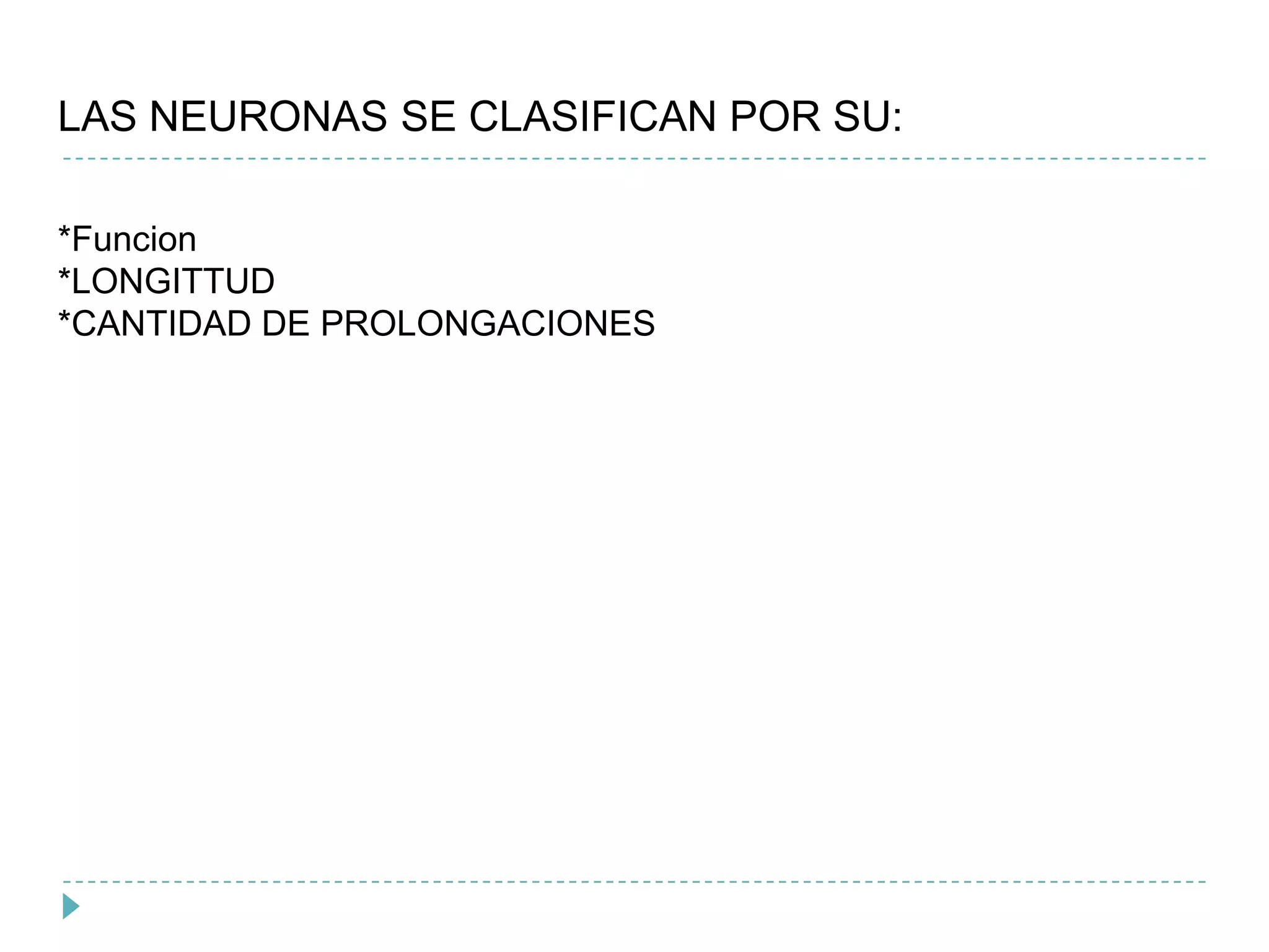 Tipos de neuronas | PPTX
