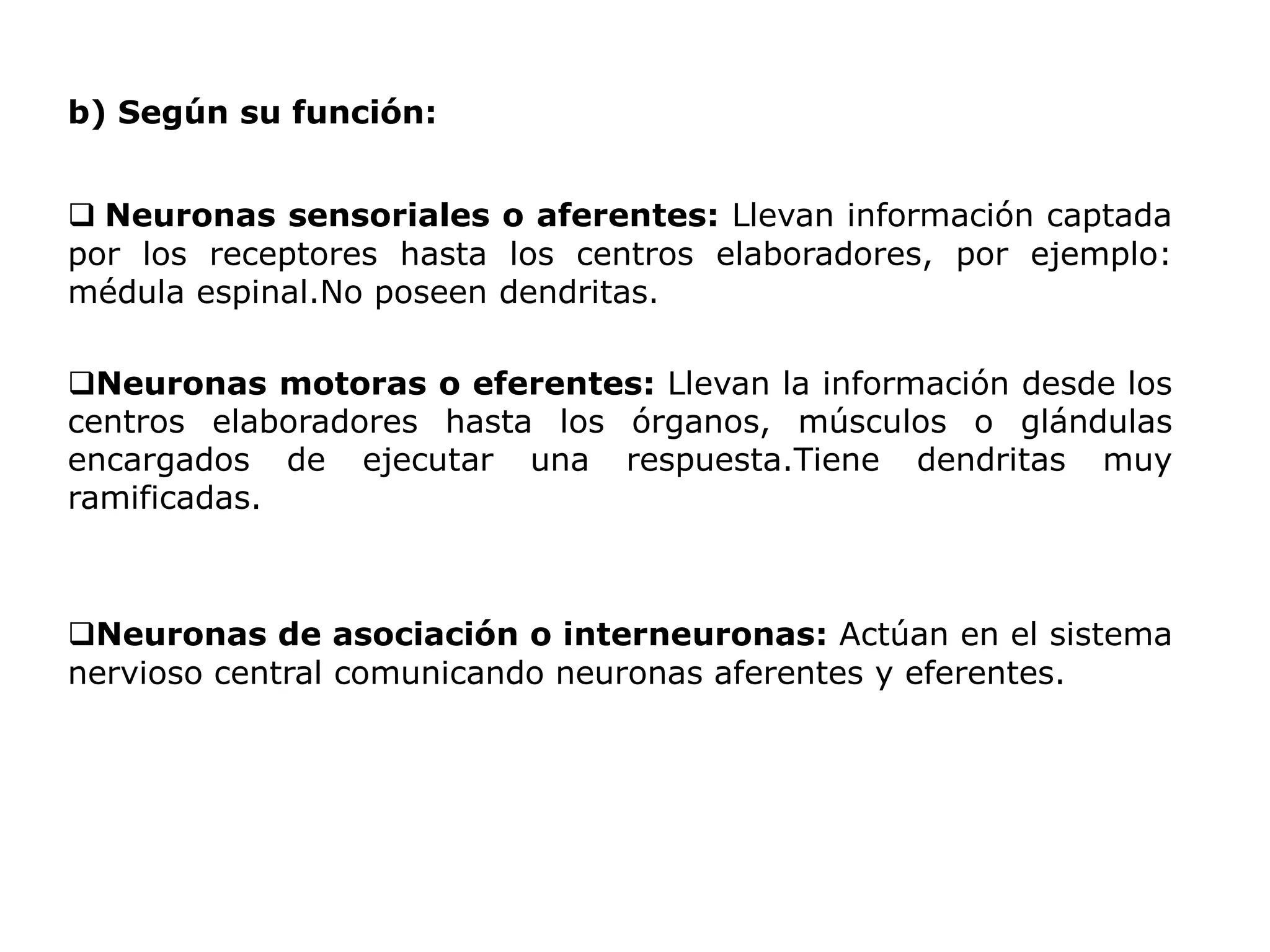 Tipos de neuronas | PPT