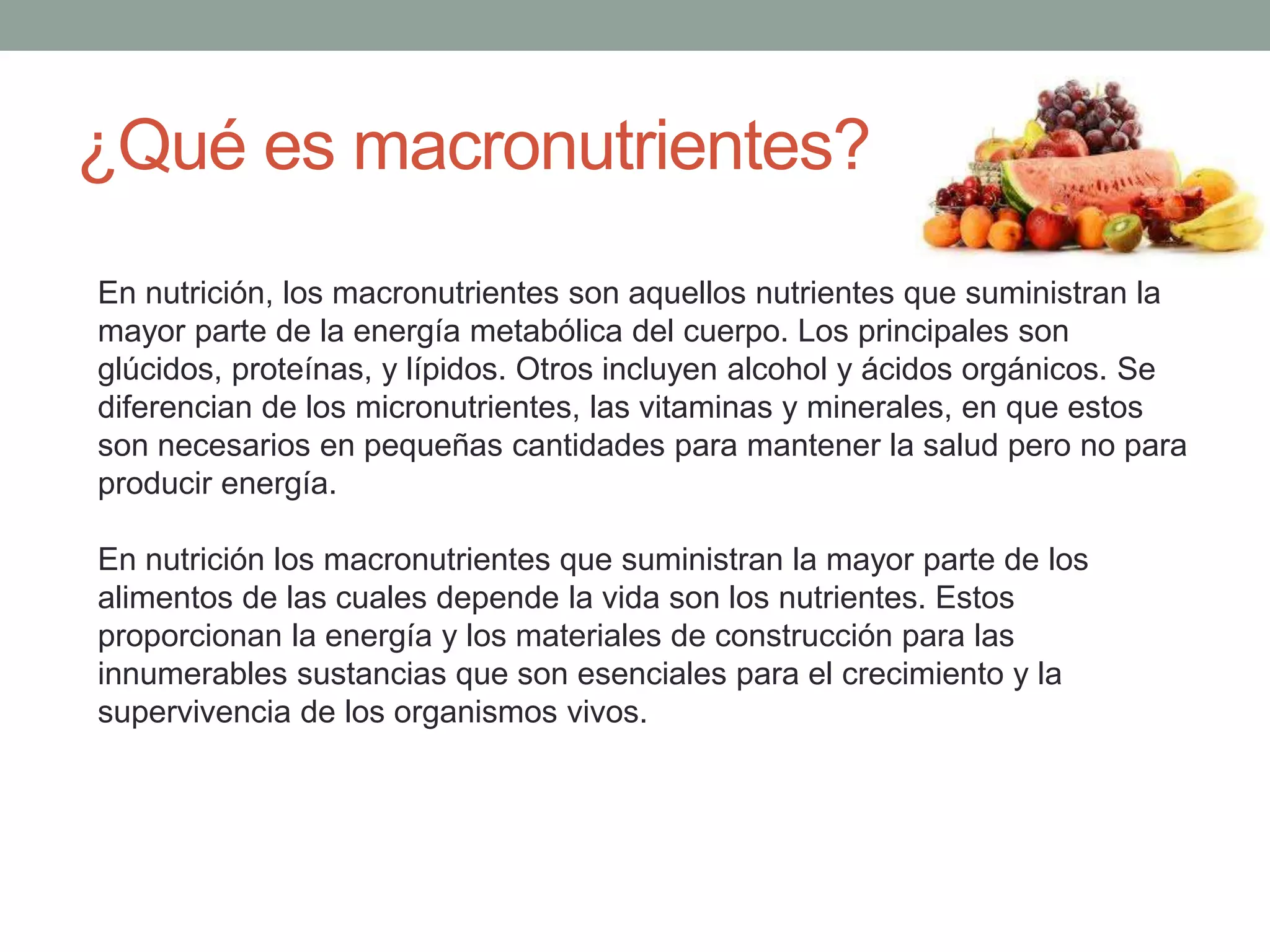 Tipos de nutrientes | PPTX