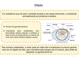 Tipos de ovos - Embriologia | PPTX