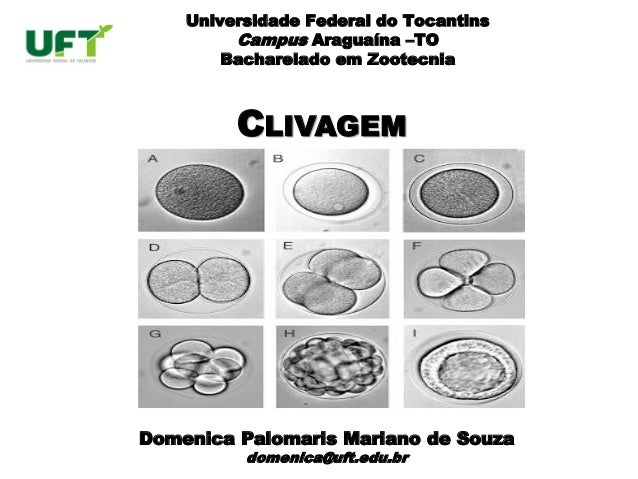 Tipos de ovos e clivagem. pptx