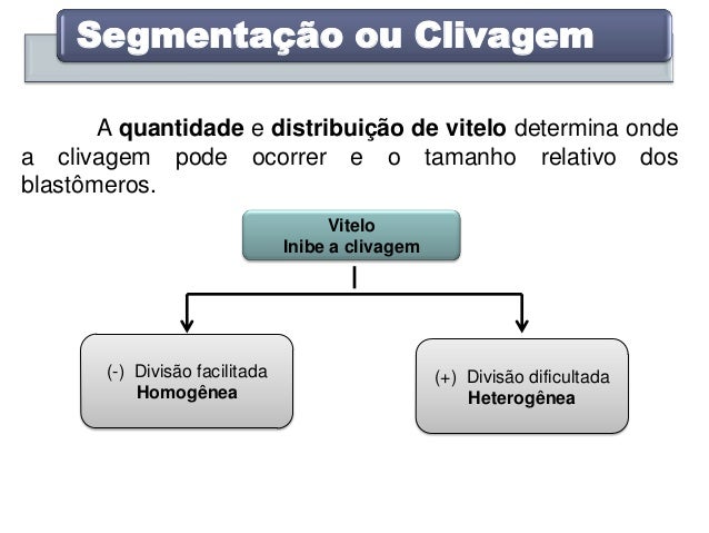 Tipos de ovos e clivagem. pptx