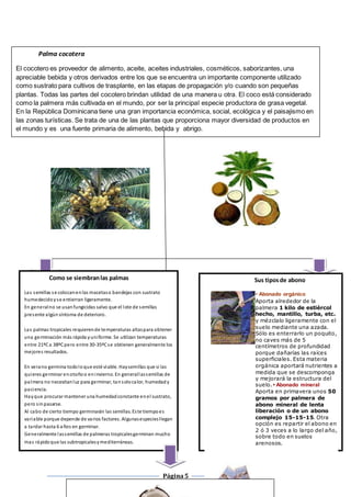 Tipos de palmas(1) | DOCX