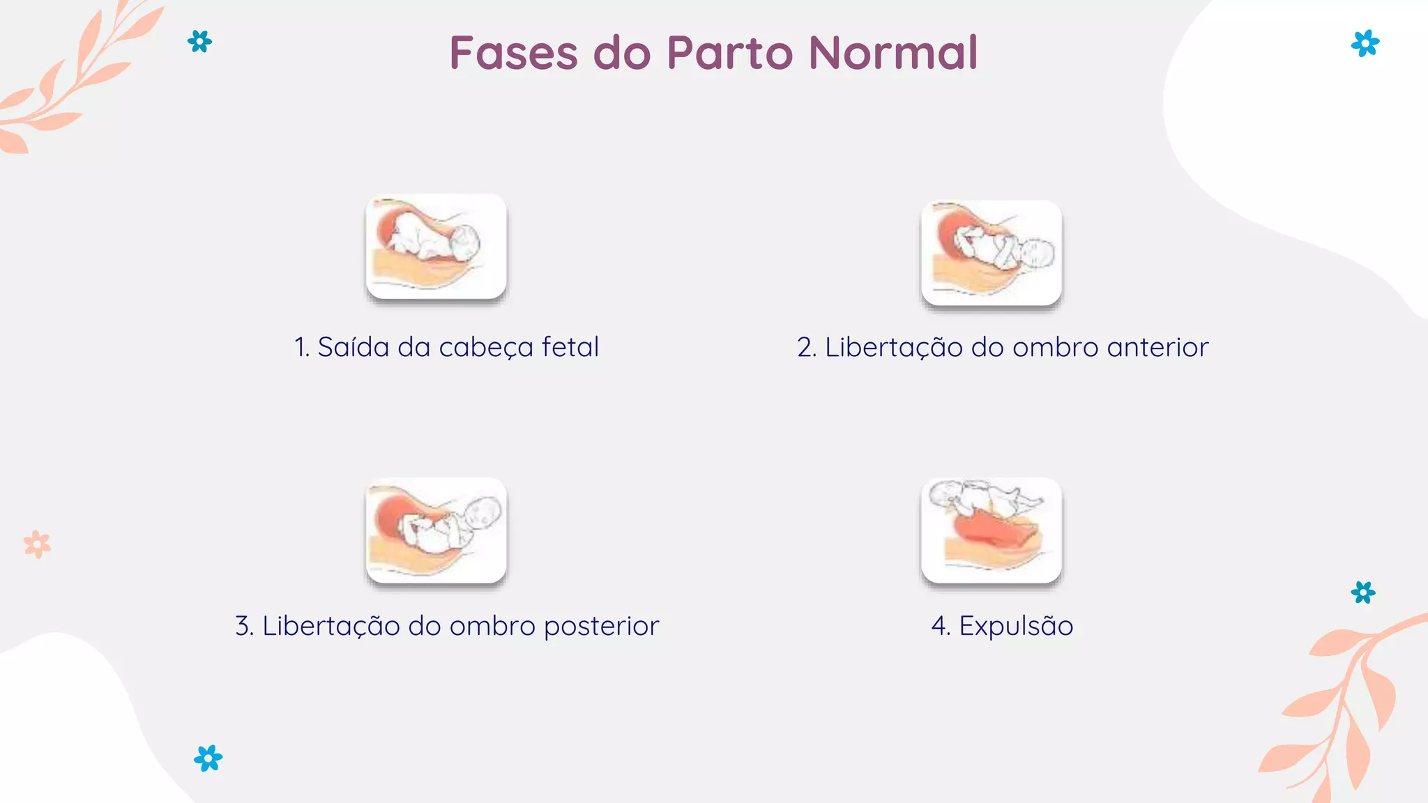 Tipos de Parto - Saúde Materna | PPT