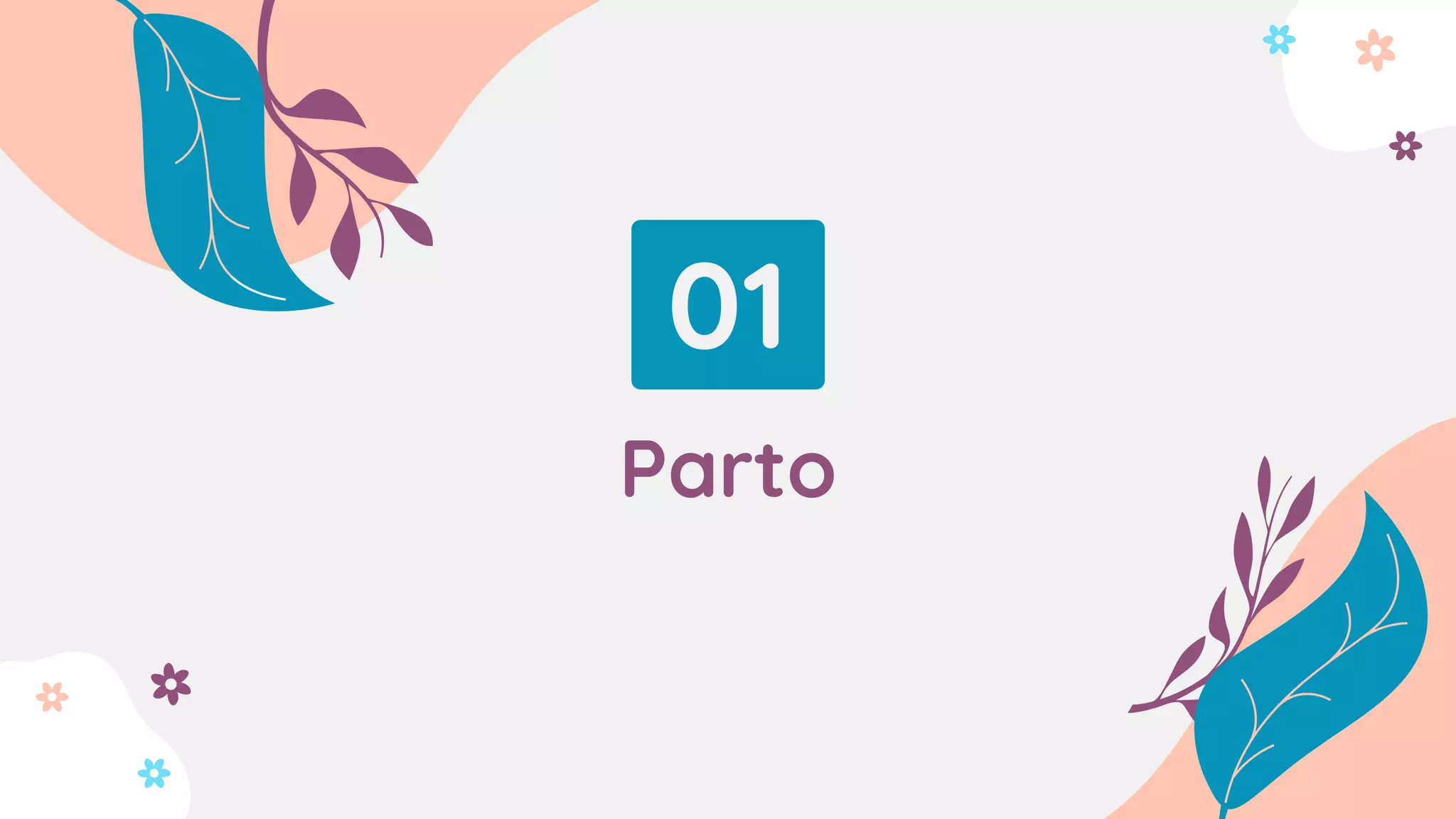 Tipos De Parto Saúde Materna Ppt