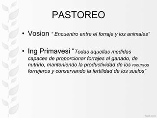 Tipos de Pastoreo .pptx