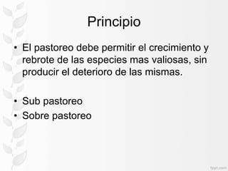Tipos de Pastoreo .pptx