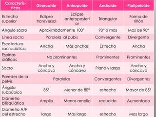 Tipos de pelvis(2) | PPTX