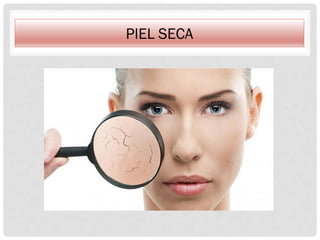 Tipos de piel | PDF