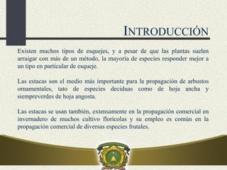 TIPOS DE PROPAGACIÓN: SEXUAL Y ASEXUAL EN DIVERSAS ESPECIES | PDF