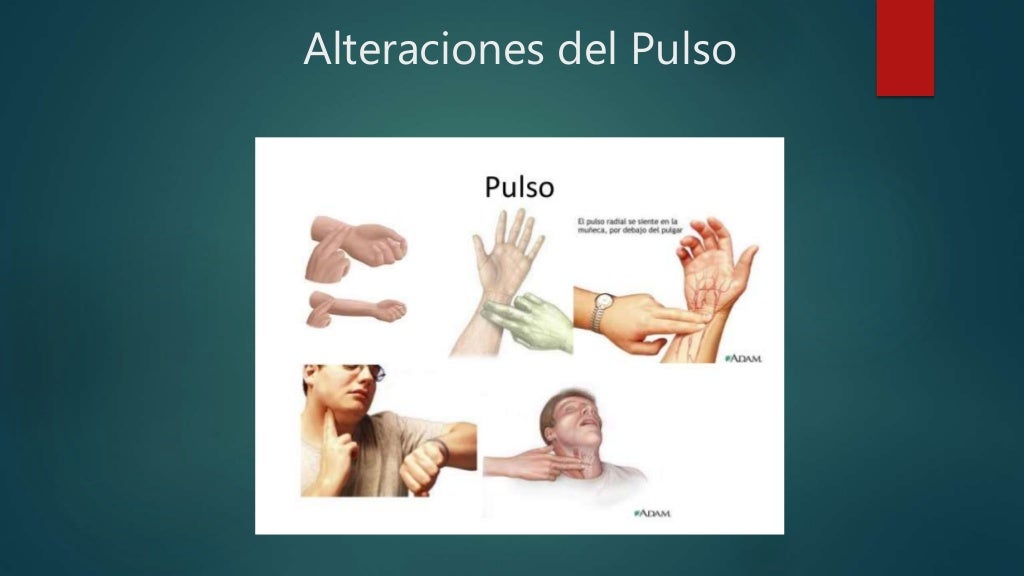 Tipos de pulsos