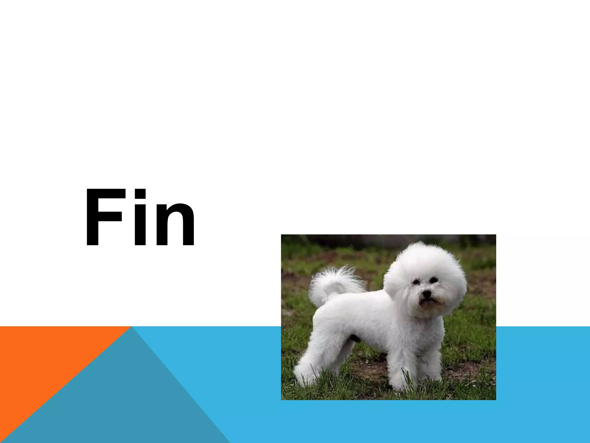 Tipos De Raza De Perros Ppt