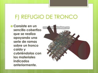 Tipos de refugio de acampada | PPTX