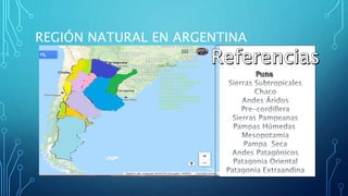 Tipos de regiones planificacion | PPTX