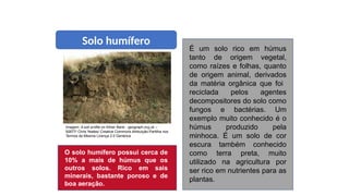 Tipos de solo e suas características..pptx