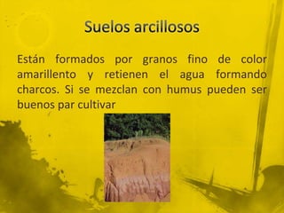 Tipos de suelo | PPTX