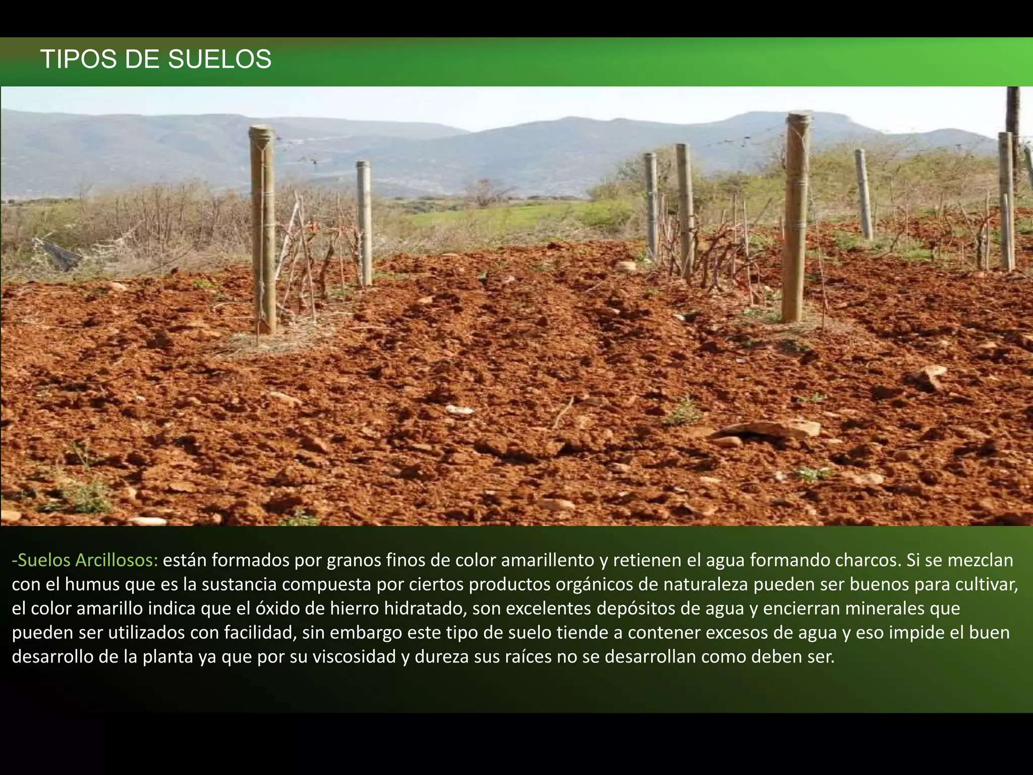 Tipos de suelos | PPT
