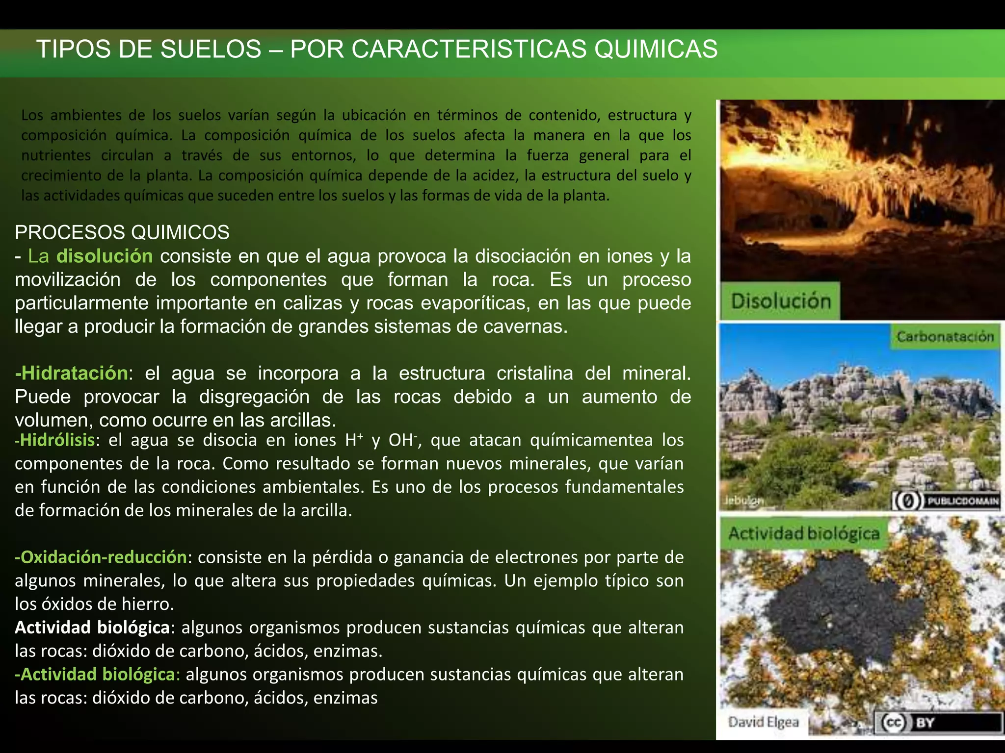 Tipos de suelos | PPT