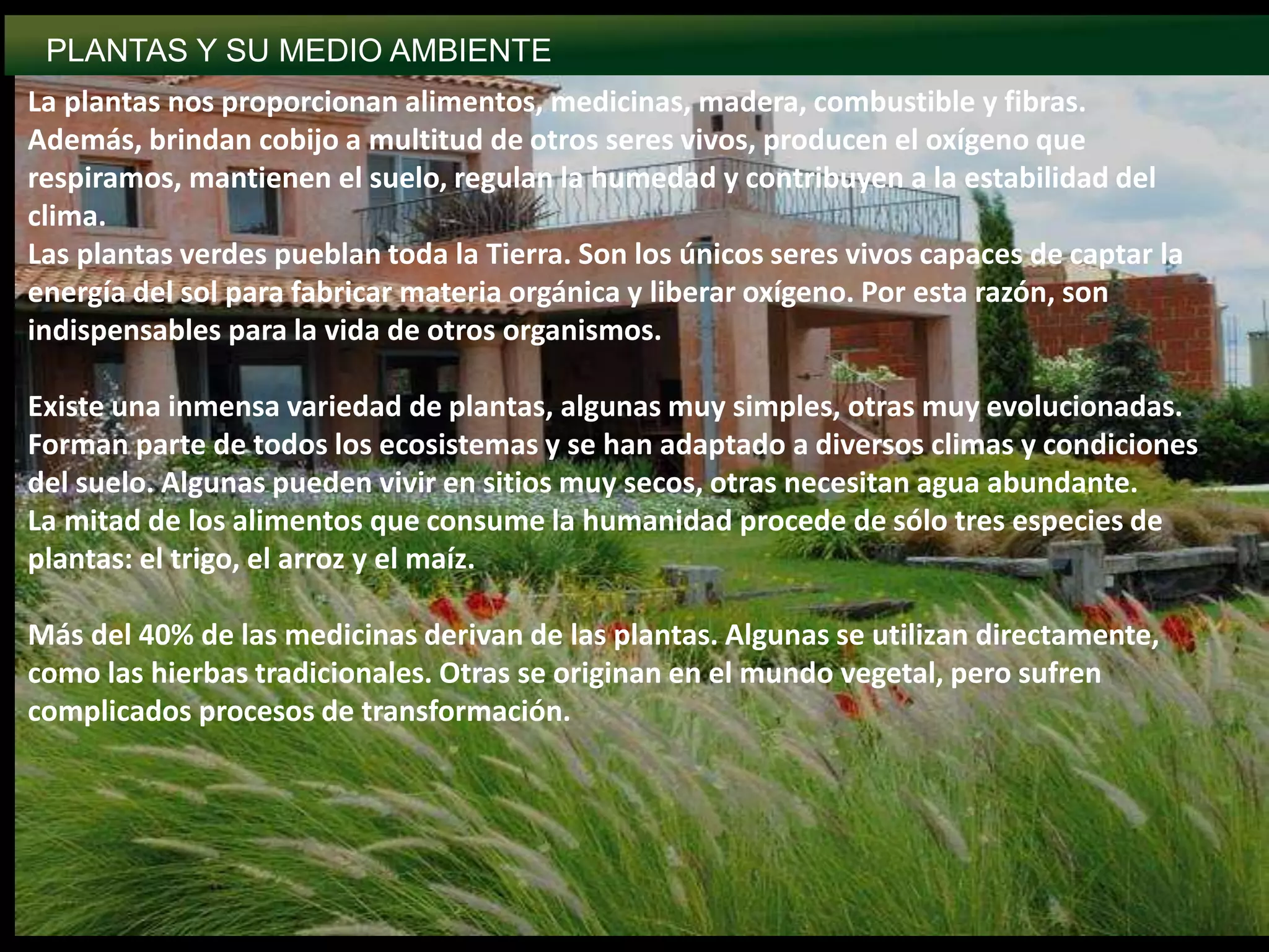 Tipos de suelos | PPT