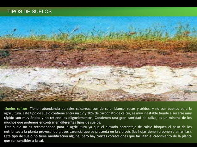 Tipos de suelos | PPT