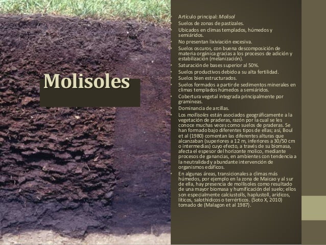 Tipos de suelos paisajismo