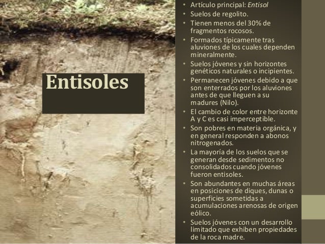 Tipos de suelos paisajismo