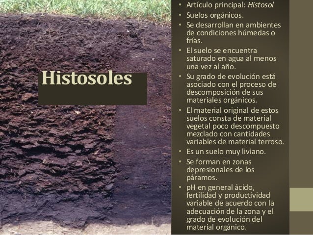 Tipos de suelos paisajismo