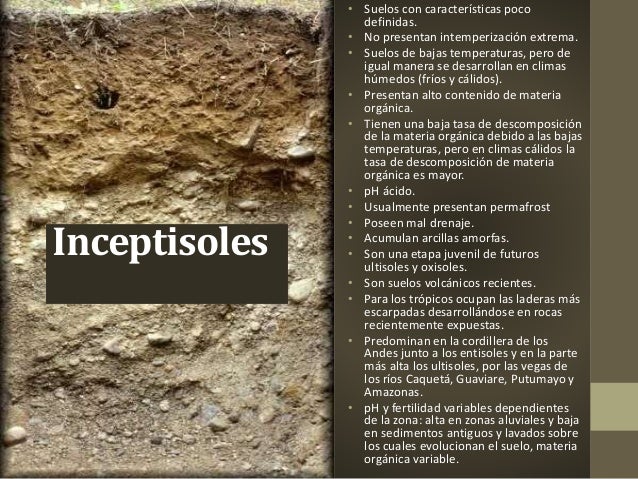 Tipos de suelos paisajismo