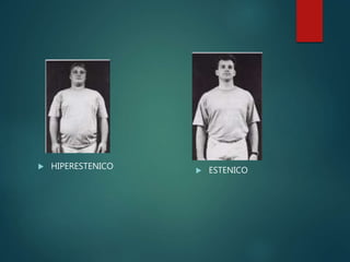 Tipos de torax | PPTX