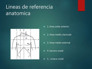 Tipos de torax | PPTX