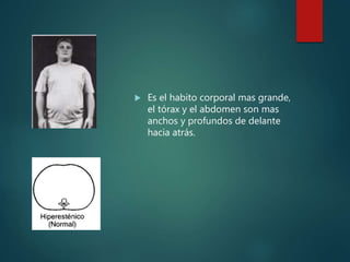 Tipos de torax | PPTX