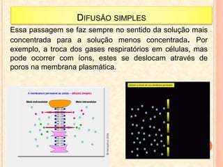 Tipos de transportes de substâncias através de biomembranas | PPTX