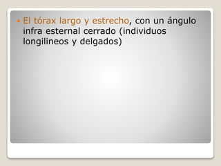Tipos de tórax | PPTX