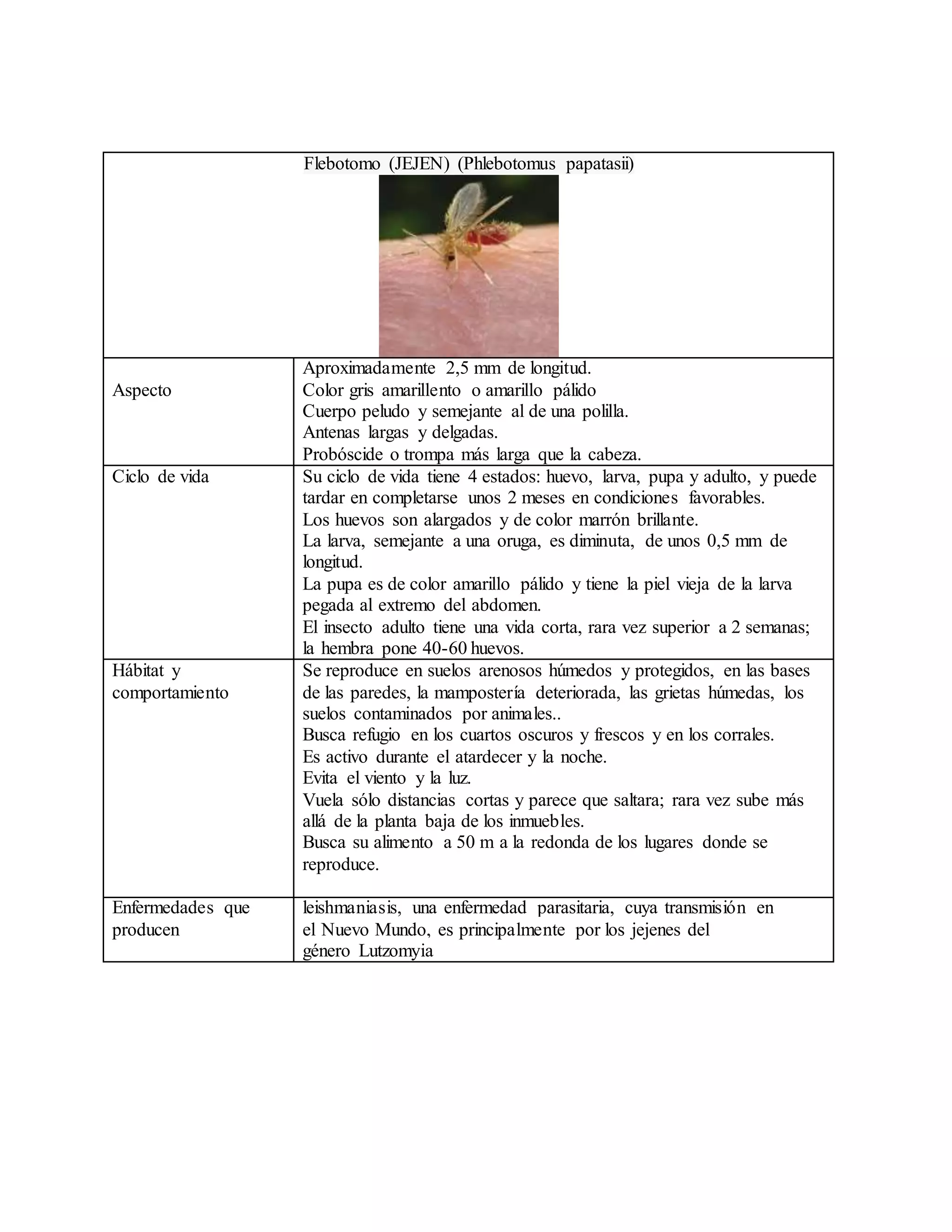 Tipos de vectores | DOCX