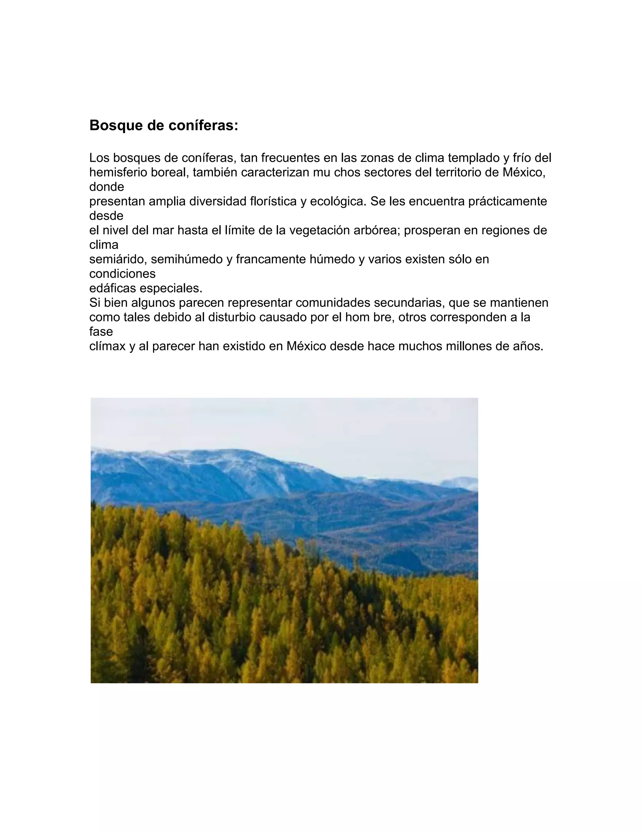 Tipos de vegetacion en mexico | DOCX
