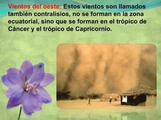Tipos de vientos | PPTX