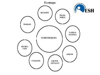 Tipos familia mapas_familiares | PPSX