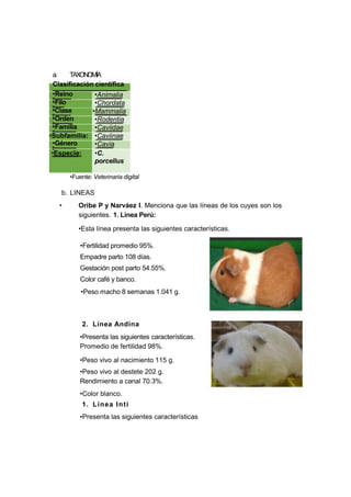 Tipo de cuyes y razas de conejos | PPTX