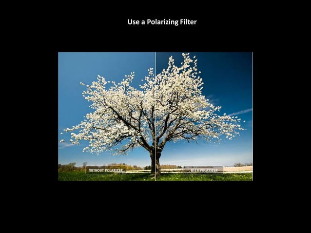 Fotografi Tips | PPT