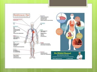 Transjugular Intrahepatic Portosystemic Shunt Diagram