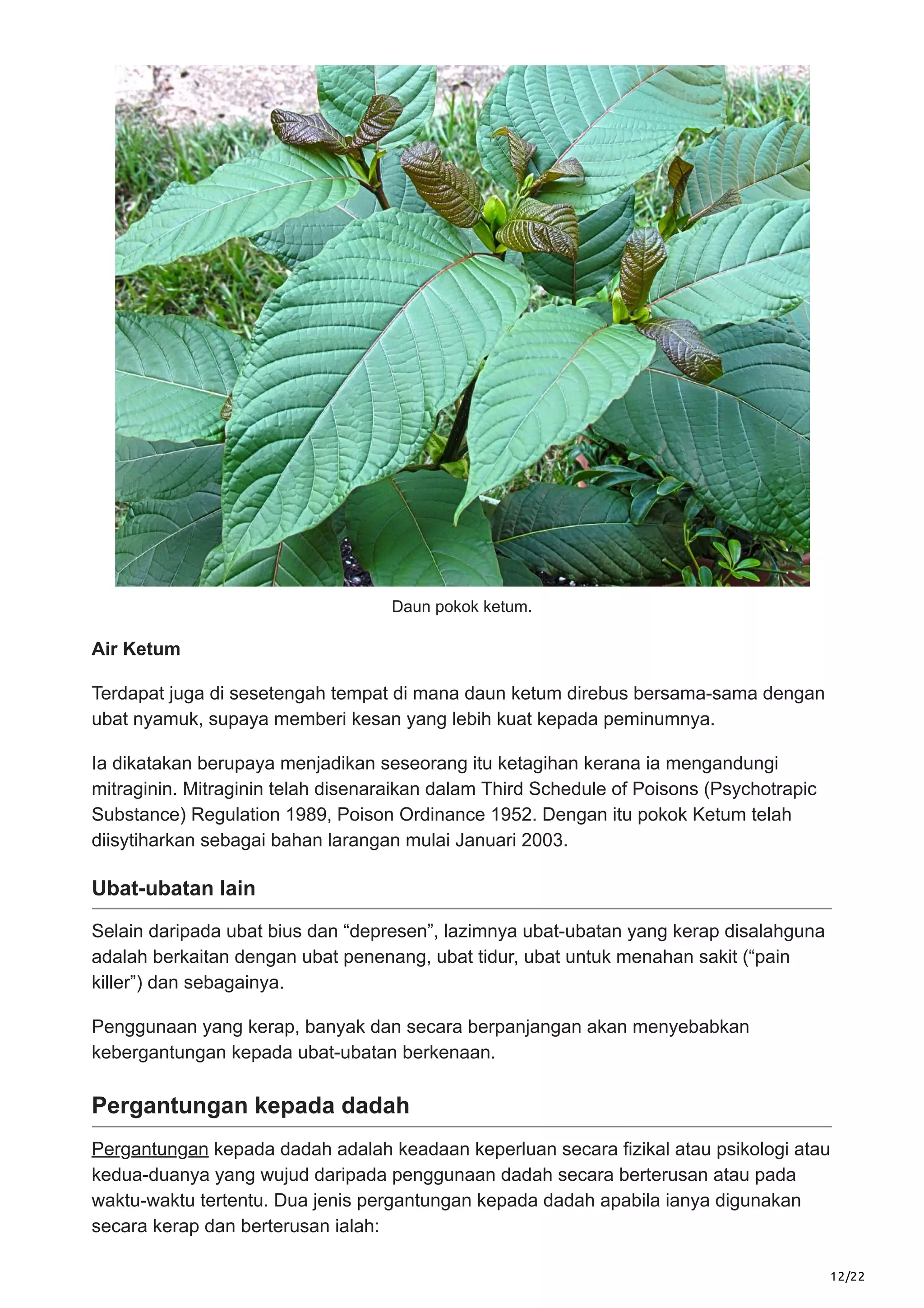 Tips kesihatan.com-Kenali Dadah – Jenis, Kesan dan Undang-undang | PDF