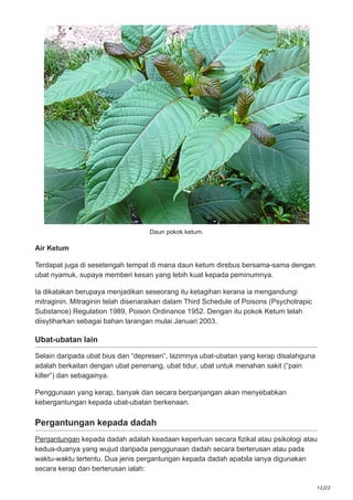 Tips kesihatan.com-Kenali Dadah – Jenis, Kesan dan Undang-undang | PDF